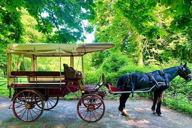 Killarney Jaunting Car Tour - Why This Tour Is a Great Choice
