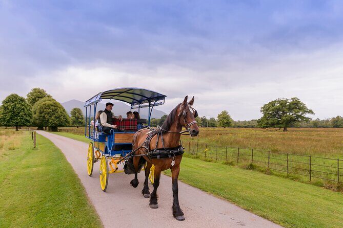 Killarney Jaunting Car Tour- Park to Castle - Who Should Consider This Tour?