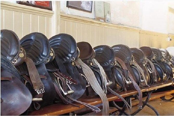 Killarney National Park Horseback Ride. Co Kerry. Guided. 2 hours. - Who Will Love This Experience?