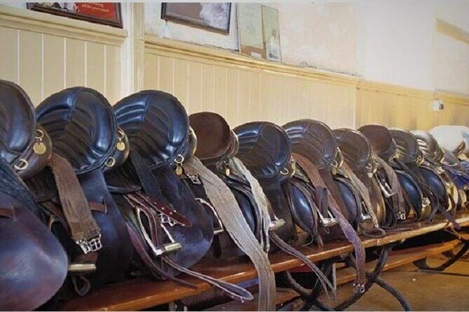 Killarney National Park Horseback Ride. Co Kerry. Guided. 3 hours. - An Authentic Way to See Killarney