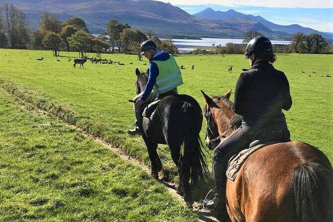 Killarney National Park Horseback Ride. Co Kerry. Guided. 3 hours. - The Review: Authentic Insights from Participants