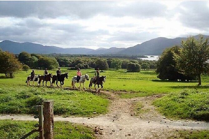 Killarney National Park Horseback Ride. Co Kerry. Guided. 3 hours. - Practical Tips for Your Ride