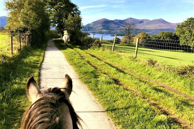 Killarney National Park Horseback Ride. Co Kerry. Guided. 3 hours. - Who Will Love This Experience?