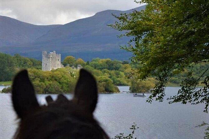 Killarney National Park Horseback Ride. Co Kerry. Guided. 3 hours. - The Sum Up