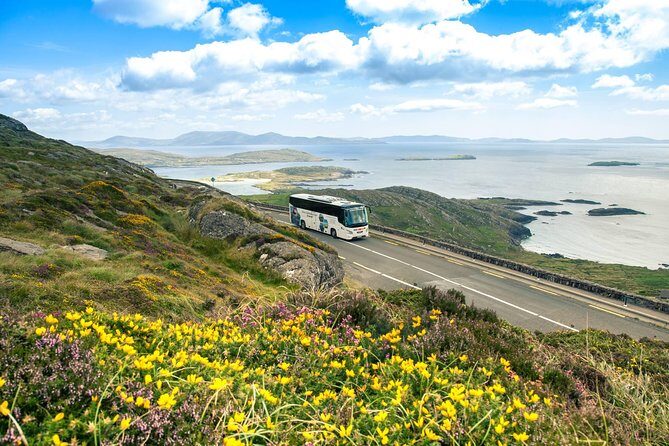 Killarney Super Saver: Dingle and Slea Head Day Trip plus Ring of Kerry and Killarney Lakes Day Trip - Key Points  