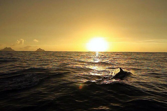 Killarney Super Saver: Dingle and Slea Head Day Trip plus Ring of Kerry and Killarney Lakes Day Trip - Who Will Love This Tour?  