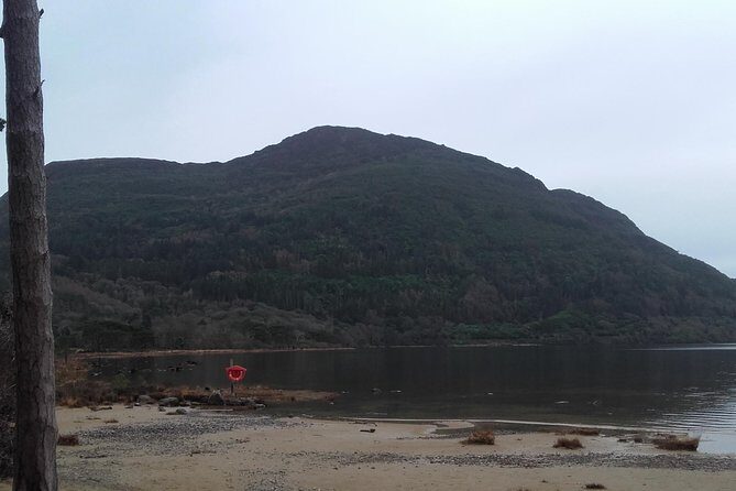 Killarney Valley & National Park - Private Tour - Who Is This Tour Best For?