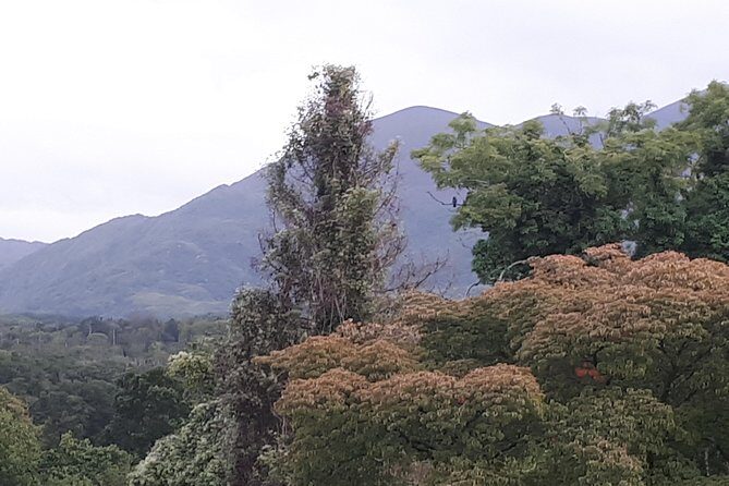 Killarney Valley & National Park - Private Tour - FAQ