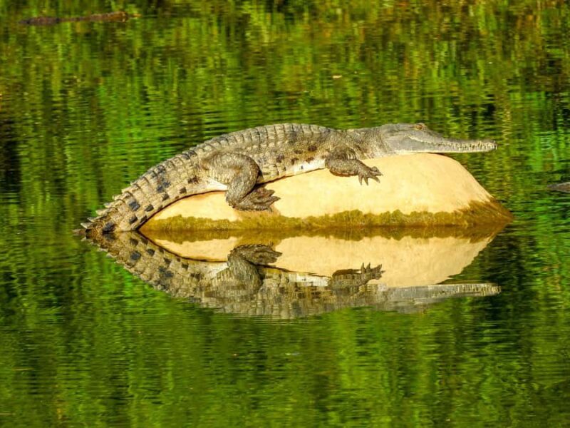 Kimberley: 9 Day Tour from Darwin to Broome - The Sum Up