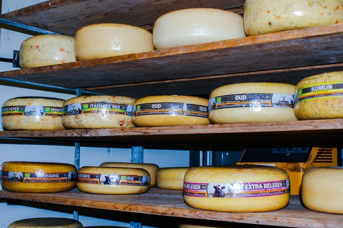 Kinderdijk Area Cycling Tour - An In-Depth Look at the Kinderdijk Cycling Tour