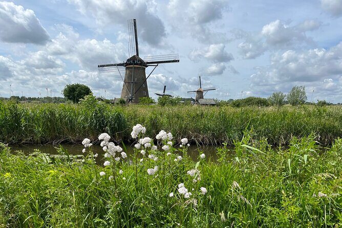 Kinderdijk Windmills, Delft City & Delft Blue Factory Visit - A Full Breakdown of the Experience