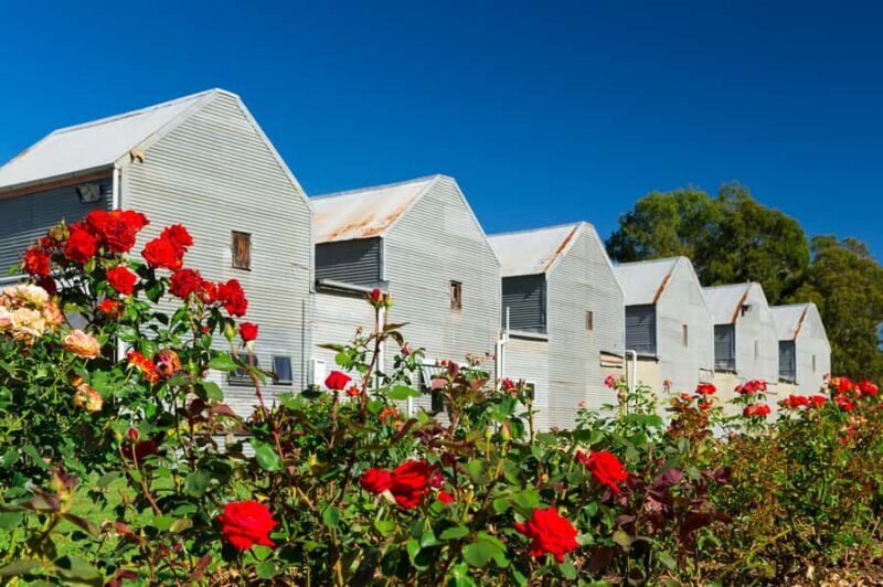 King Valley: Pizzini Wines Sparkling Italian High Tea - Key Points