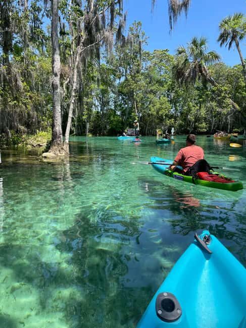 Kings Bay, Crystal River: Gentle Sunrise Manatee Kayak Tour - An In-Depth Look at the Sunrise Kayak Experience  