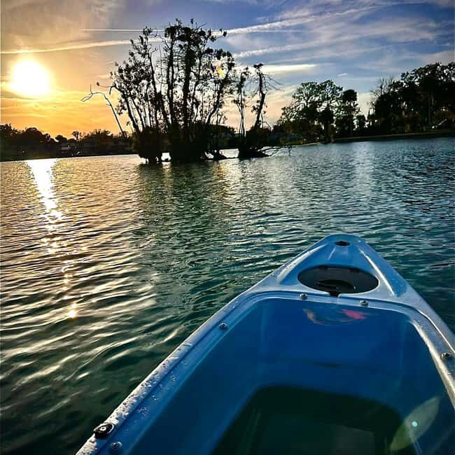 Kings Bay, Crystal River: Gentle Sunrise Manatee Kayak Tour - The Sum Up  
