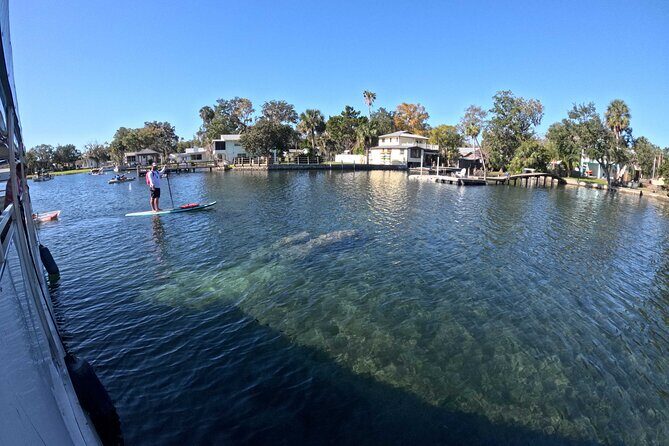 Kings Bay Manatee Watching Cruise - Key Points