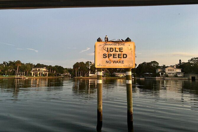Kings Bay Manatee Watching Cruise - FAQ
