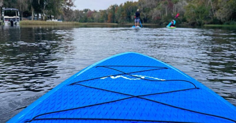 Kings Bay/Three Sisters: Self Guided Tour- ClearBottom Kayak - The Itinerary Breakdown