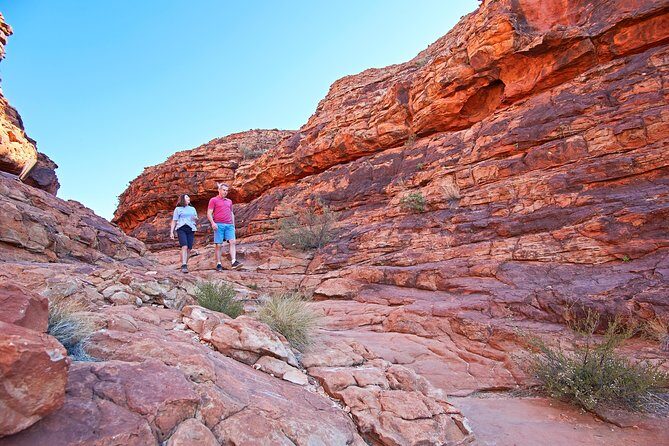 Kings Canyon Day Trip from Ayers Rock (Uluru) - The Itinerary Breakdown: What You Can Expect