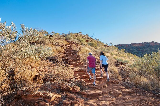 Kings Canyon Day Trip from Ayers Rock (Uluru) - FAQs