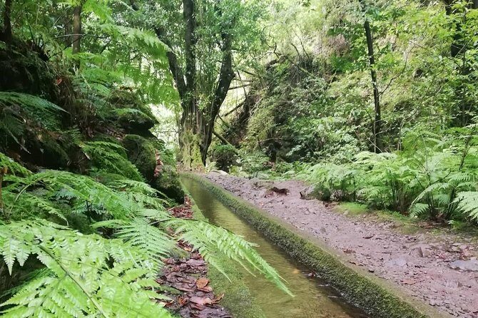 Kings Levada - São Jorge - Cancellation and Weather Policy