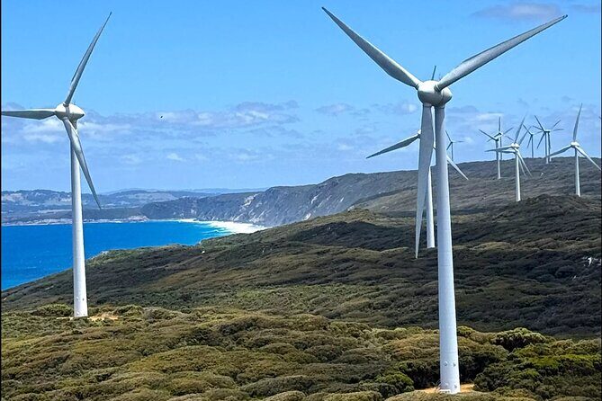 Kinjarlings Killer Coast: A Self-Guided Drive Through Albany - A Deep Dive into Albany’s Kinjarlings Killer Coast