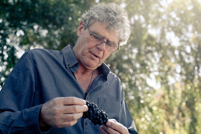 Kinross Winery: Valli Wine Tasting Experience - The Itinerary and What to Expect