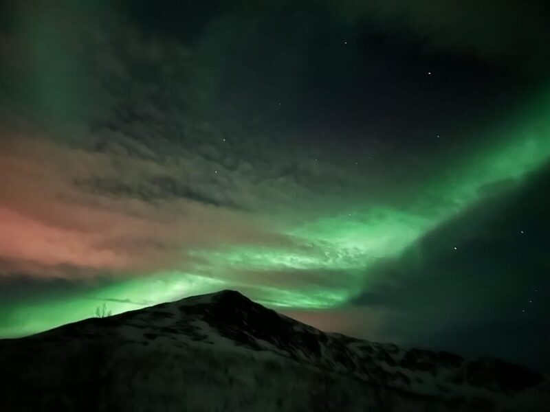 Kirkenes: Northern Lights Chase Tour - Authenticity, Pros, and Cons