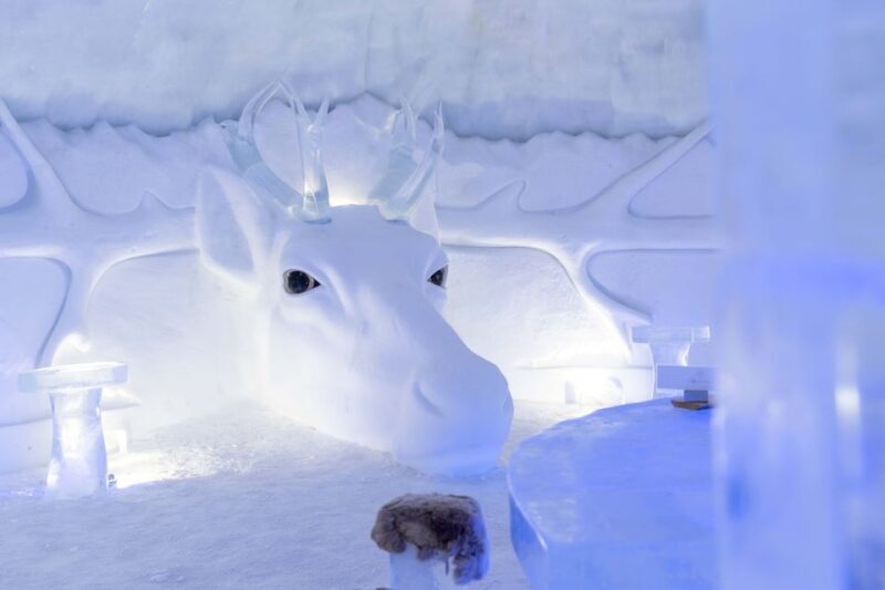 Kirkenes: Snowhotel Entrance Ticket - What Can You Expect During Your Visit?
