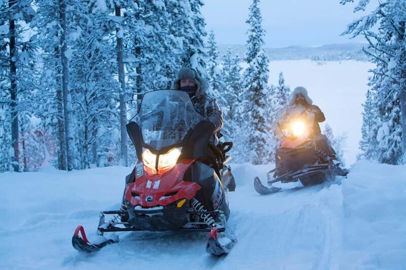 Kiruna: Northern Lights Snowmobile Tour with Dinner - A Deep Dive into the Experience