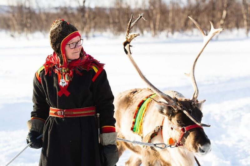 KIRUNA: Sami Reindeer Experience - Exploring the Kiruna Sami Reindeer Experience: An Authentic Arctic Adventure