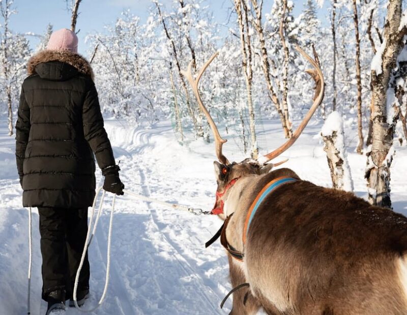 KIRUNA: Sami Reindeer Experience - Who Will Enjoy This Tour Most?