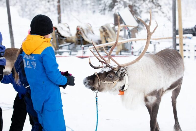 KIRUNA: Sami Reindeer Experience - FAQ