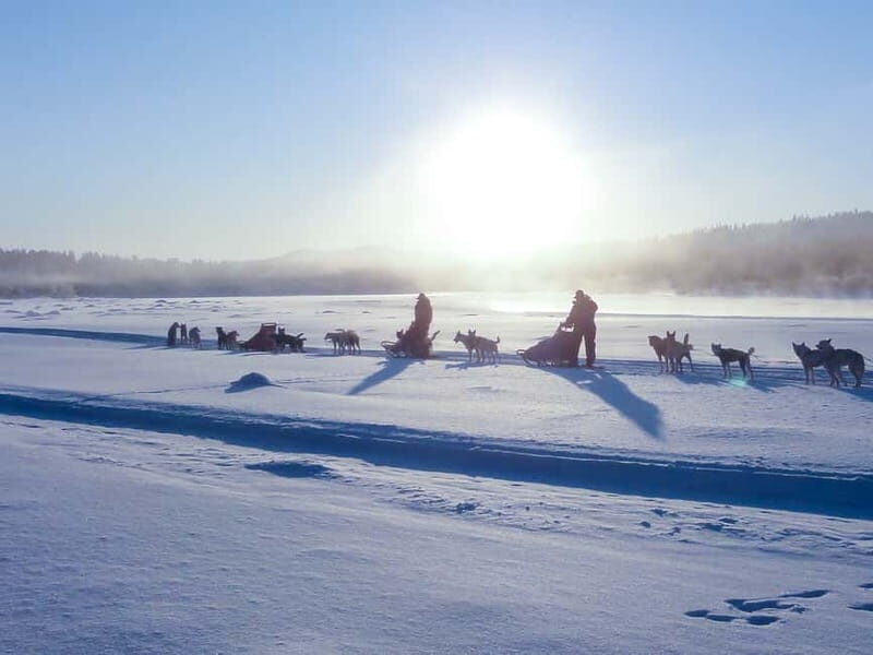 Kiruna: Self-drive Husky Morning Tour - Who is This Tour Perfect For?