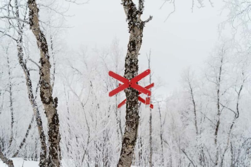 Kiruna: Small Group Snowmobile with Snacks - An Arctic Snowmobile Journey in Kiruna: What to Expect