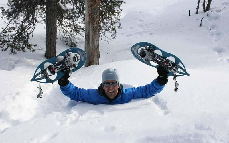 Kiruna: Snowshoe Trek with Aurora Hunt and Warm Beverage - Key Points