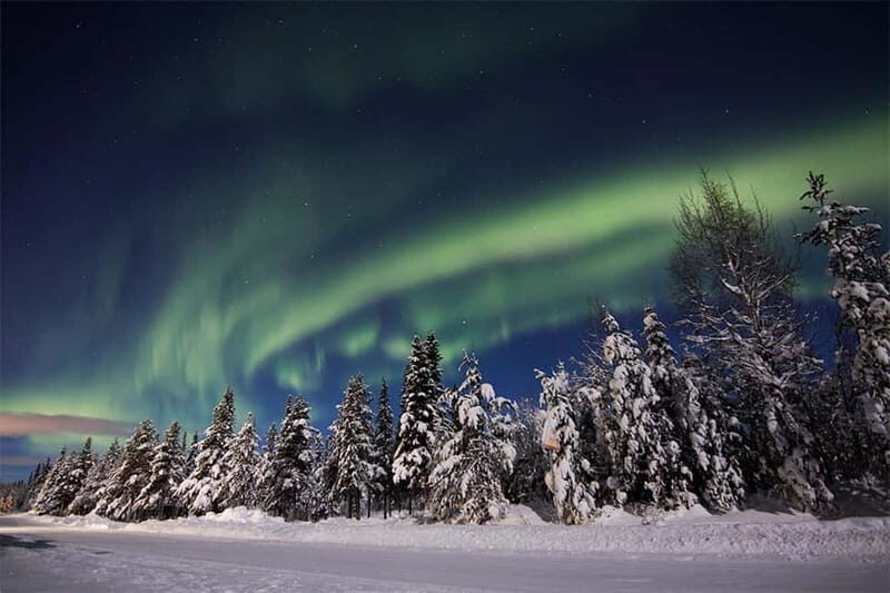 Kiruna: Snowshoe Trek with Aurora Hunt and Warm Beverage - What You Can Expect on the Tour