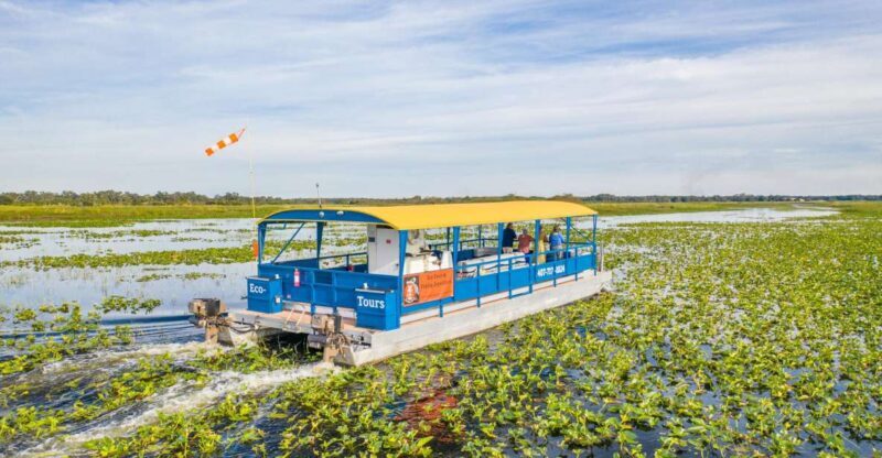 Kissimmee: 1 Hour Florida Everglades Pontoon Boat Tour - Final Thoughts
