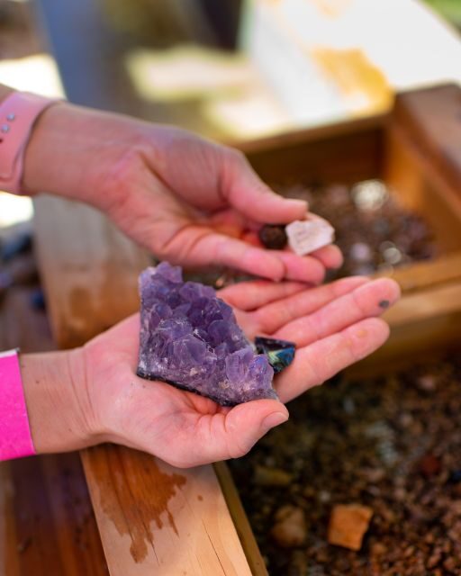 Kissimmee: Boggy Creek Airboat Ride with Optional Meal - Authenticity & Value