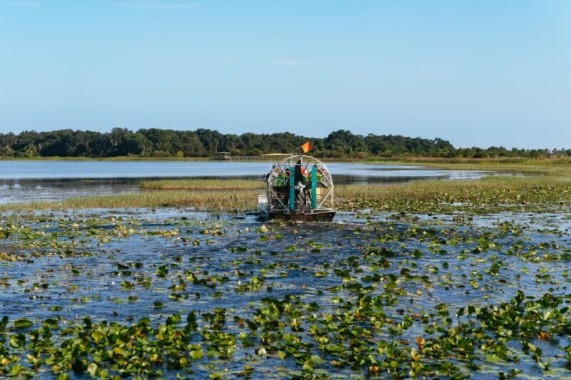 Kissimmee: Everglades Airboat Adventure Tour - Authentic Experiences from Real Travelers