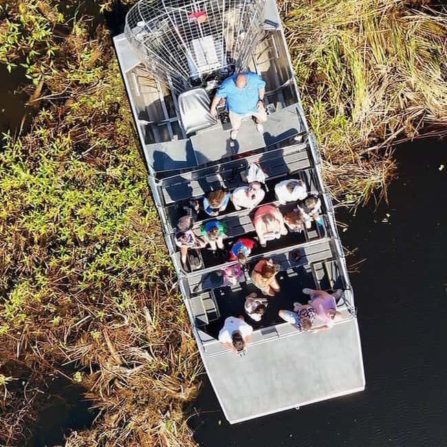 Kissimmee: Everglades Alligator and Wildlife Airboat Tour - Key Points