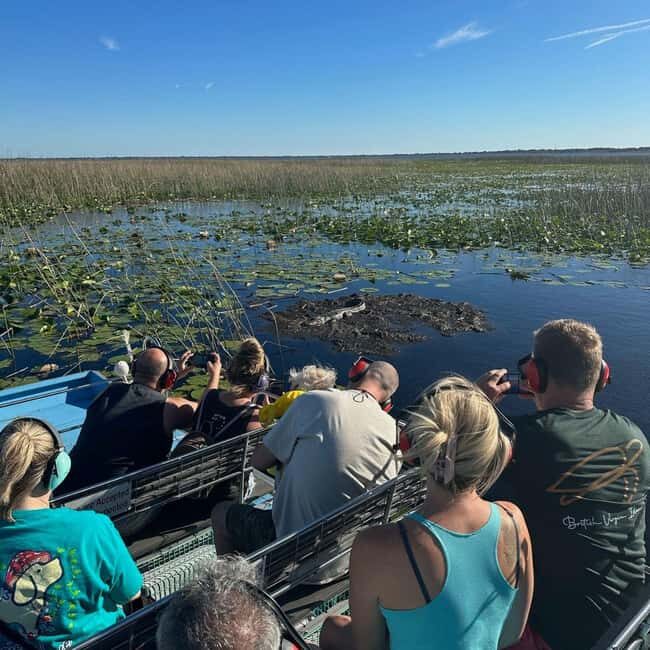 Kissimmee: Everglades Alligator and Wildlife Airboat Tour - FAQ
