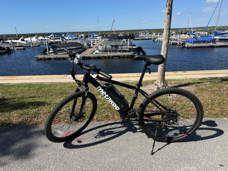 Kissimmee: Self-Guided Lakefront Tour on All Electric Bike - The Experience: What You Can Expect