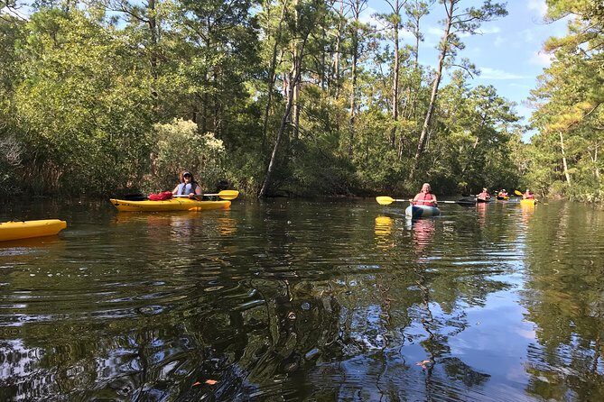 Kitty Hawk Maritime Forest Kayak Tour - An Overview of the Tour Experience
