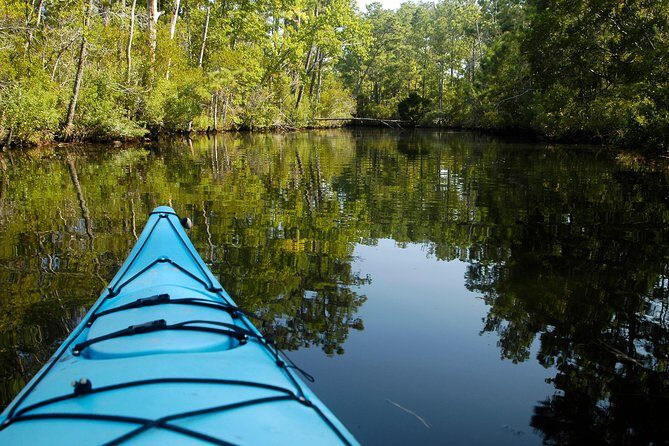 Kitty Hawk Maritime Forest Kayak Tour - Exploring the Itinerary in Detail