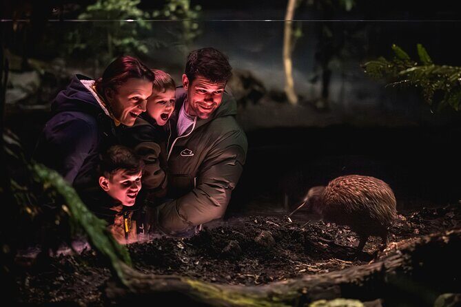 Kiwi Park Queenstown Admission - The Experience: What to Expect on Your Visit