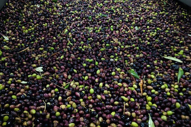 Kleanthi Olive Farm: Guided Tour with Local Delicacies Tasting - The Bottom Line