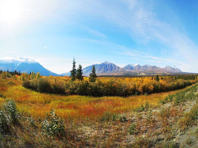 Kluane National Park: Full Day Tour - What the Reviews Tell Us