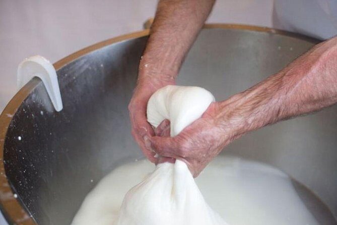 Knowledge and Flavors - An In-Depth Look at the Knowledge and Flavors Tour