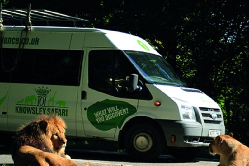 Knowsley: Safari Entry Tickets - Value and Pricing