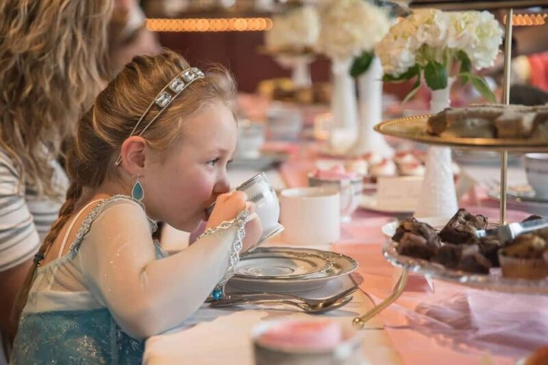 Knoxville: Afternoon Sightseeing Cruise on Tennessee River - The Sum Up